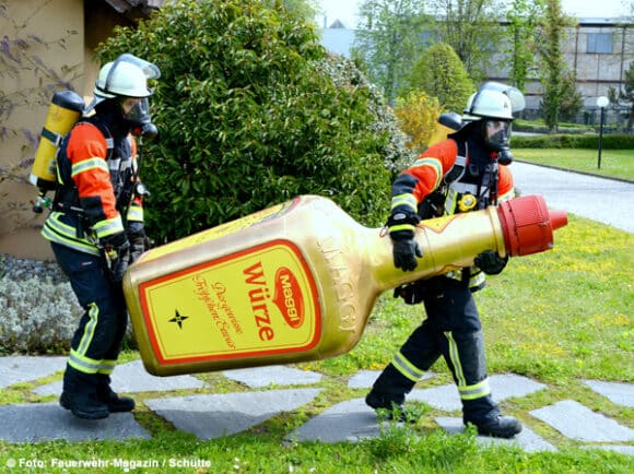 Die Besonderheiten der WF Maggi