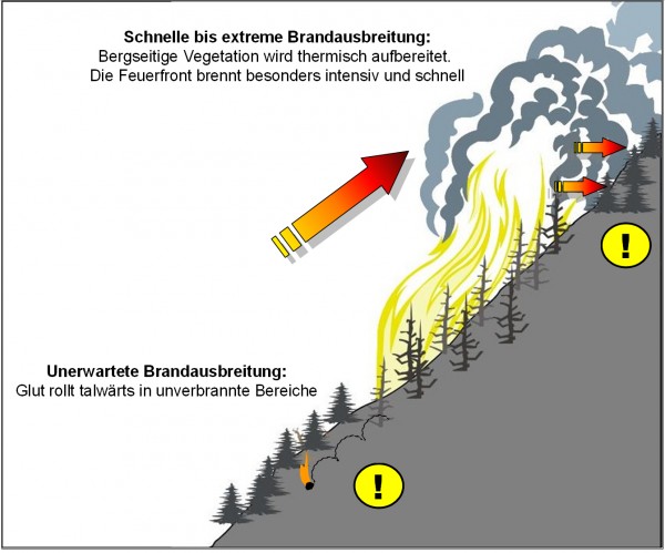 Flächenbrand: Tipps für die Einsatz-Taktik | Feuerwehr-Magazin
